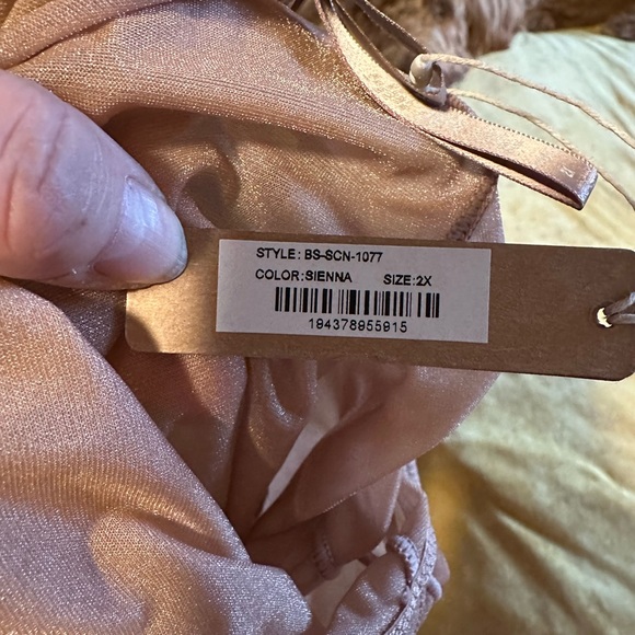 SKIMS | Tops | Skims Shear Gauzette Body Suit | Poshmark